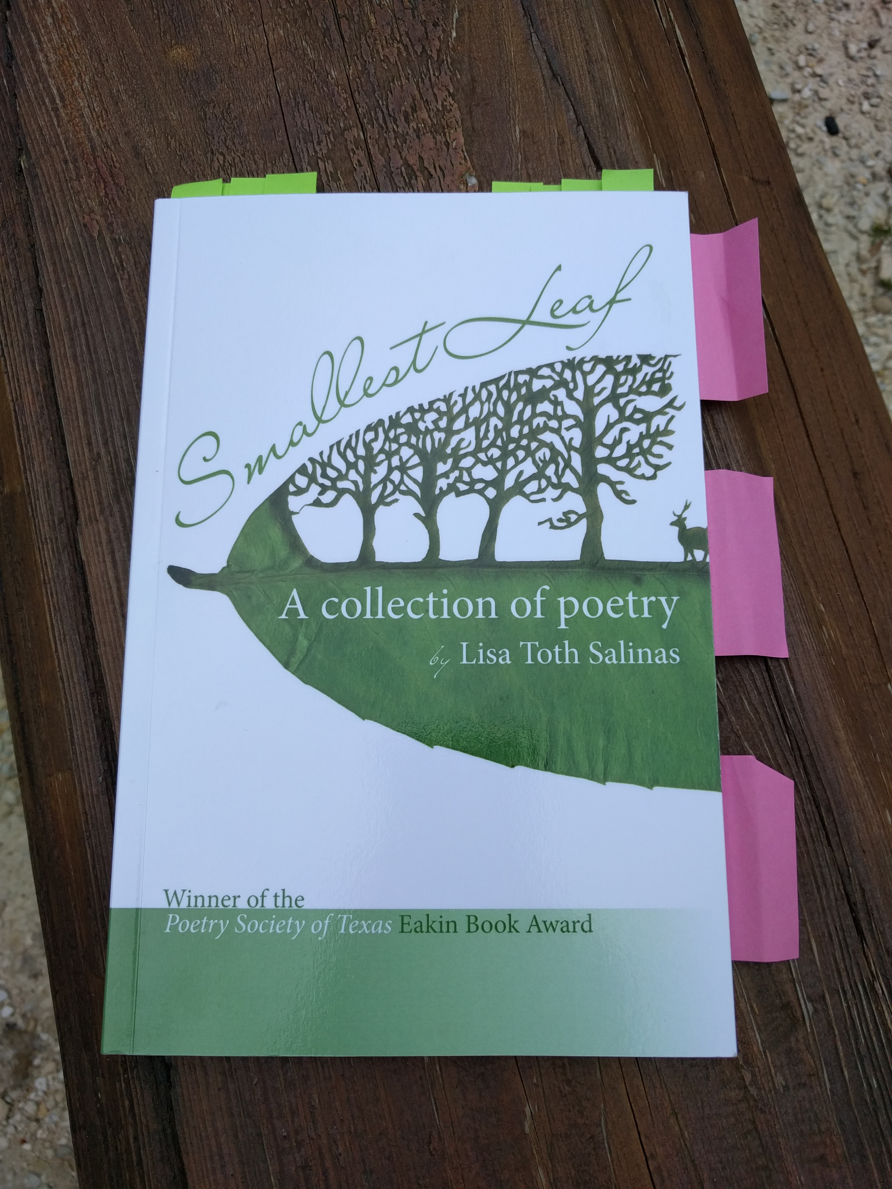 Review: Smallest Leaf – Carie Juettner